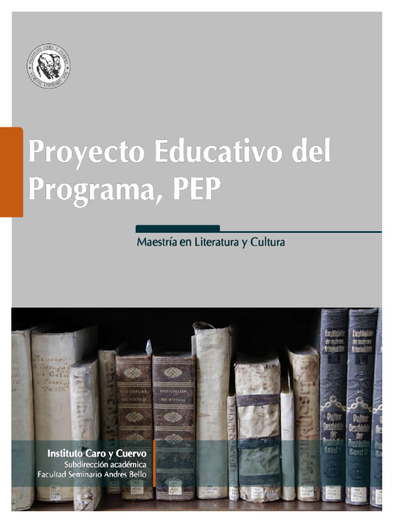 Proyecto Educativo Del Programa | PDF | Teoría | Plan de estudios