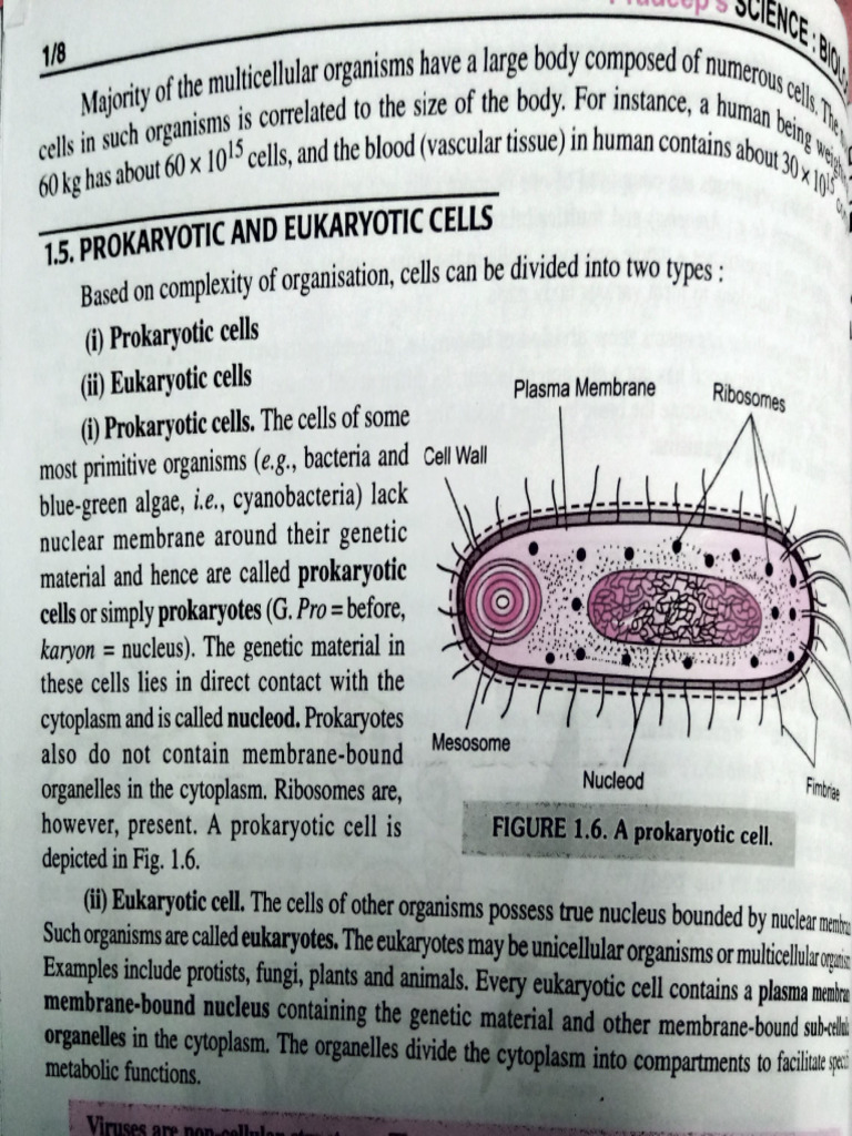 Table and Some Diagrams Not Like NCC | PDF