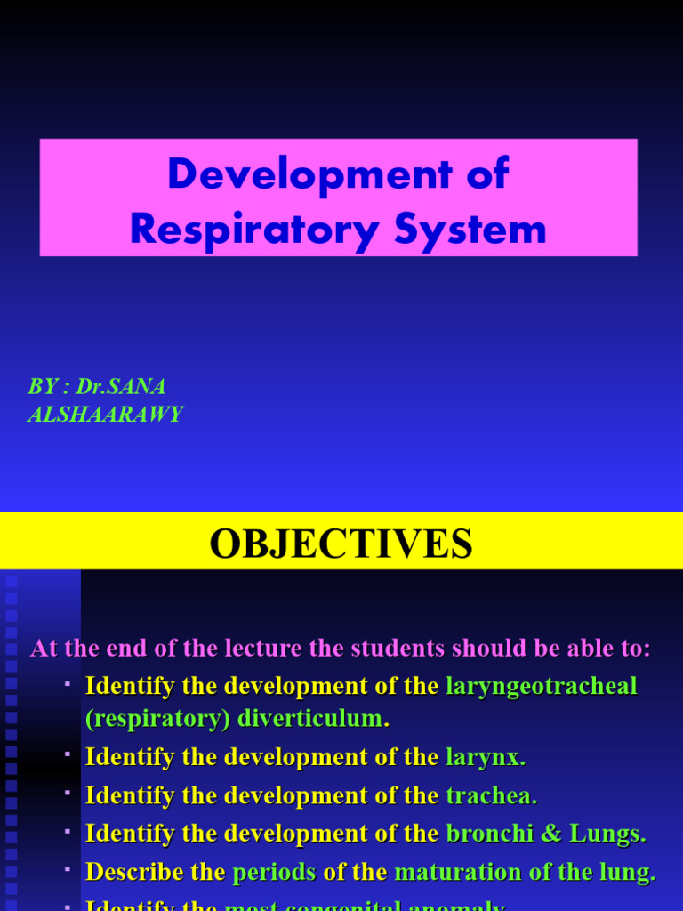 Development of Respiratory System - 2018 | PDF | Respiratory Tract | Lung