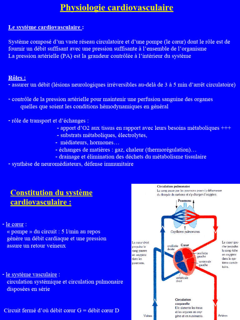 Anatomie des valves cardiaques | PDF | Cœur | Valve cardiaque
