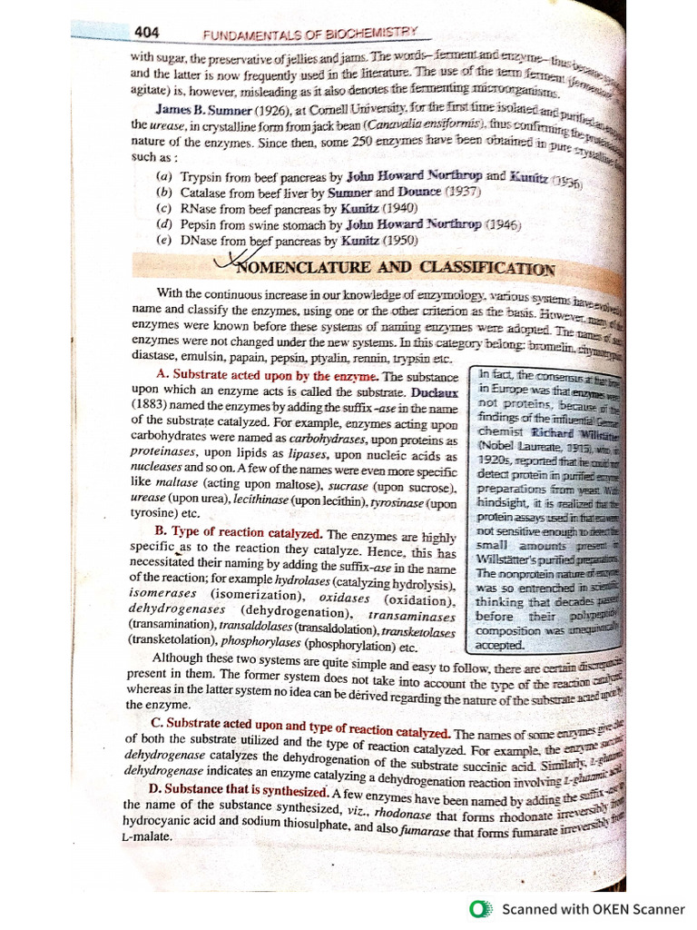 Unit 5 Enzymes - 104712 | PDF