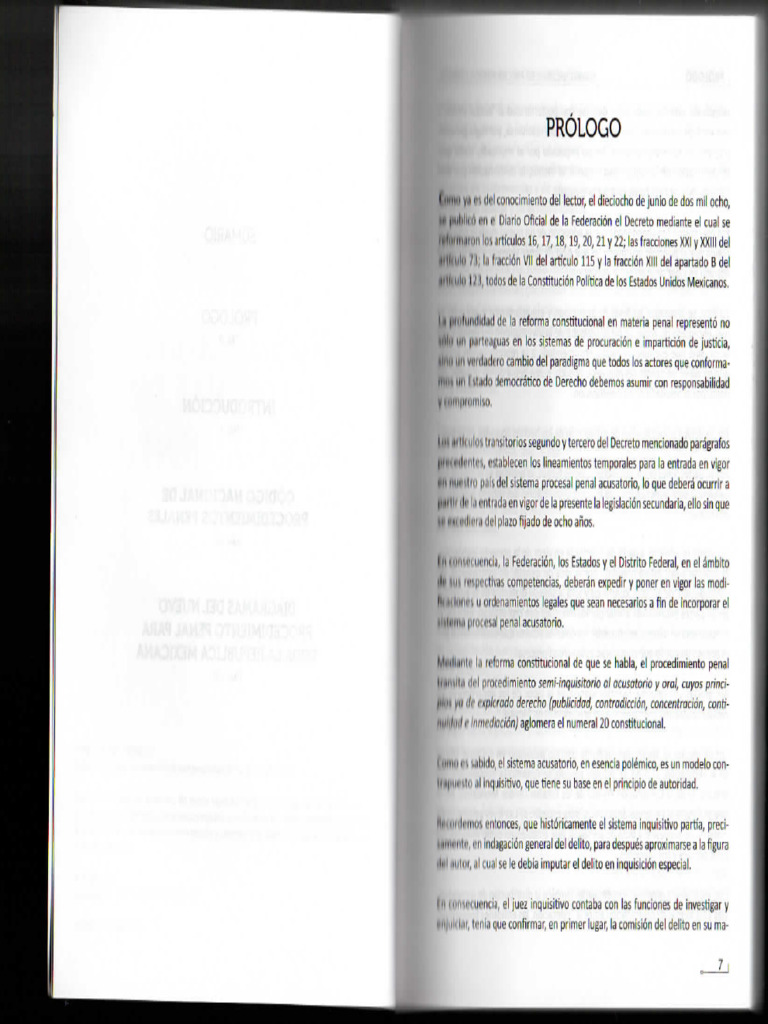 CNPP Comentado VIGENTE y Con Diagramas Procesales | PDF