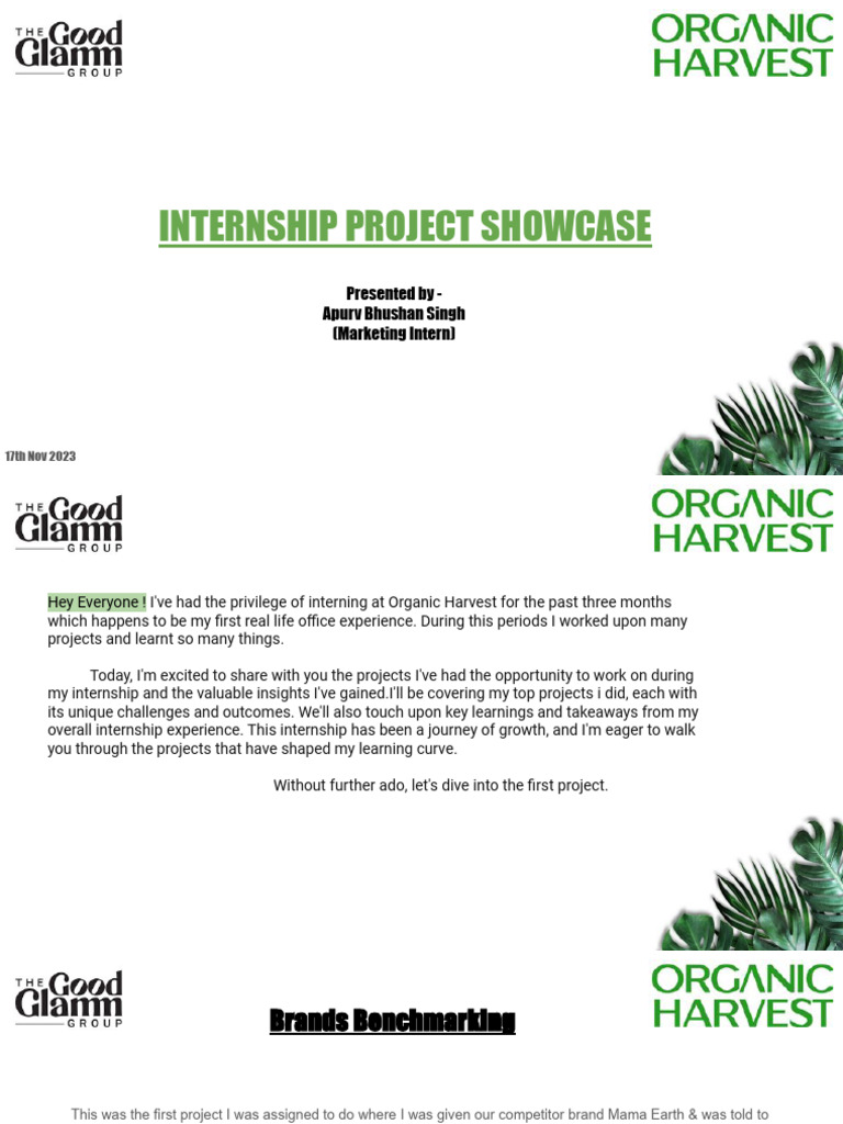 Internship Project Pdf Private Sector Business Process