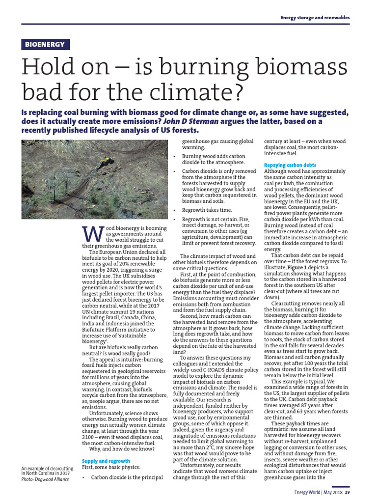 Sterman MG 2018 Burning-Biomass | PDF | Bioenergy | Power Resources