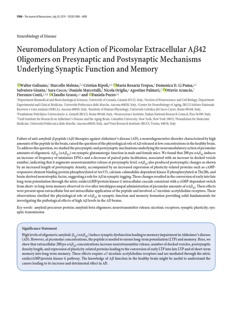 Neuroscience Assesment Paper | PDF | Chemical Synapse | Long Term ...