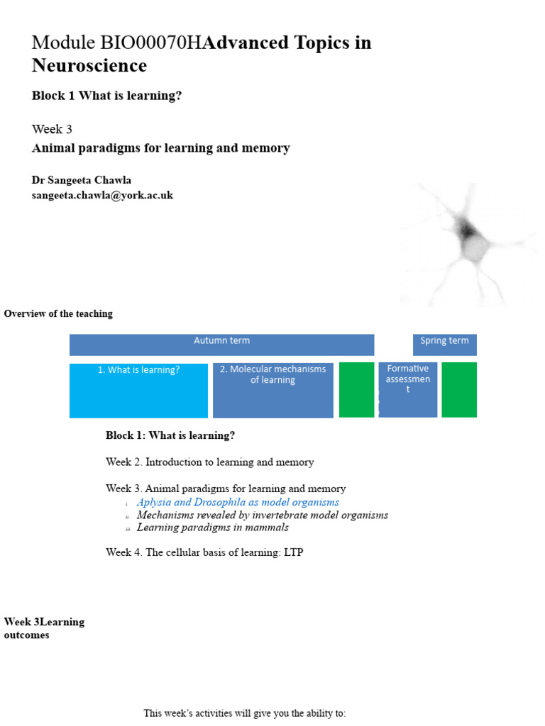 Animal Paradigms For Learning and Memory | PDF | Synapse | Classical ...
