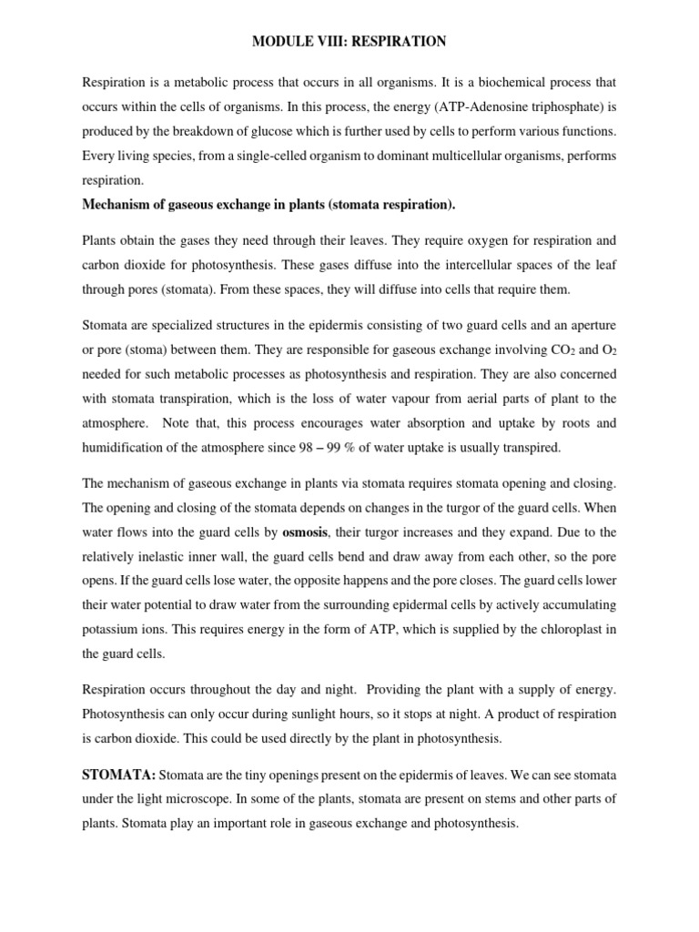 MODULE VIII - Botany - JUPEB | PDF | Stoma | Chemistry