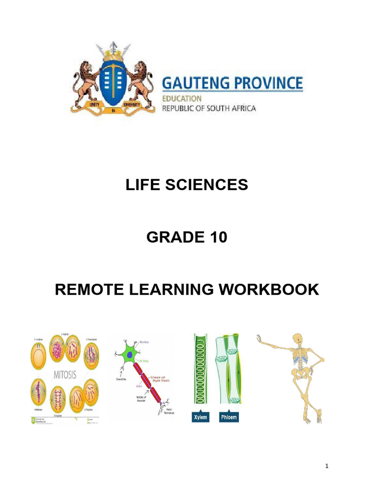 Gr.10 Remote Learning Workbook Term 3 | PDF | Mitosis | Leaf