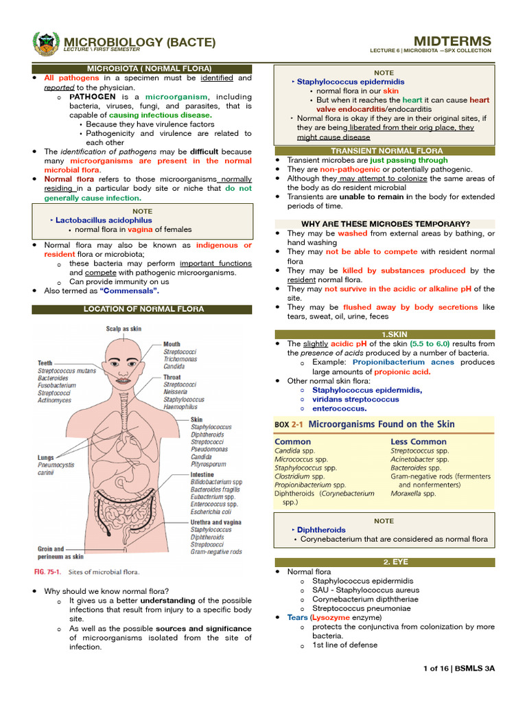 Bacte Lec 6 Trans | Download Free PDF | Infection | Streptococcus