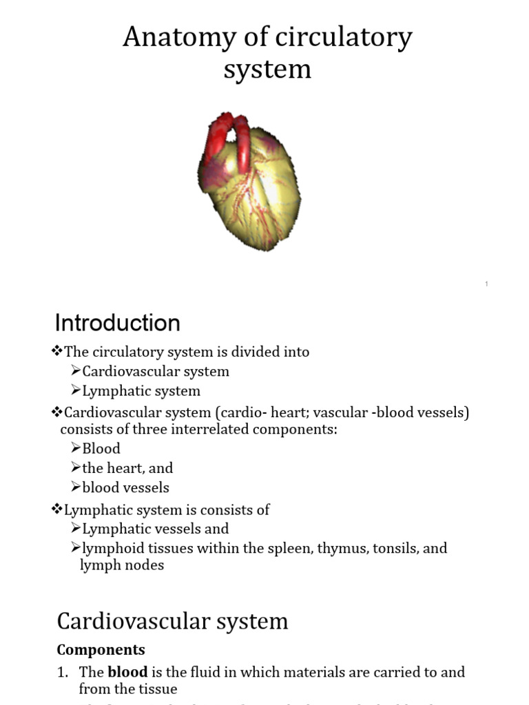 Circulatory System Nursing | PDF | Heart Valve | Ventricle (Heart)