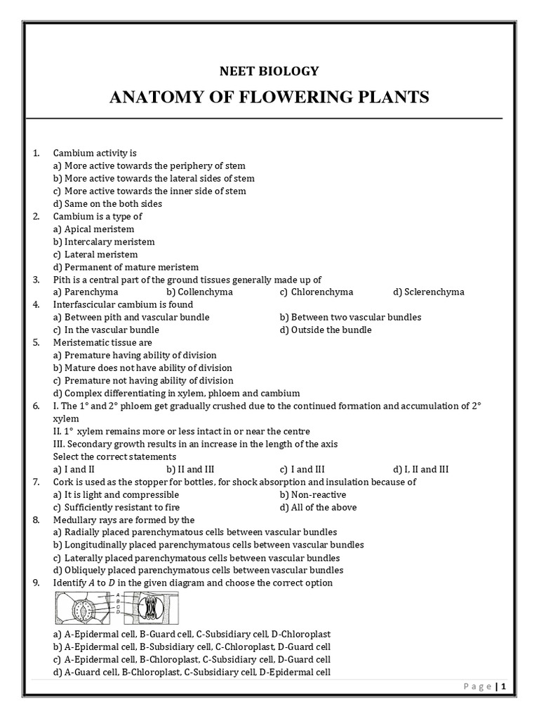 Anatomy of Flowering Plants 2023 24-12-02!58!7 | PDF | Plant Stem ...