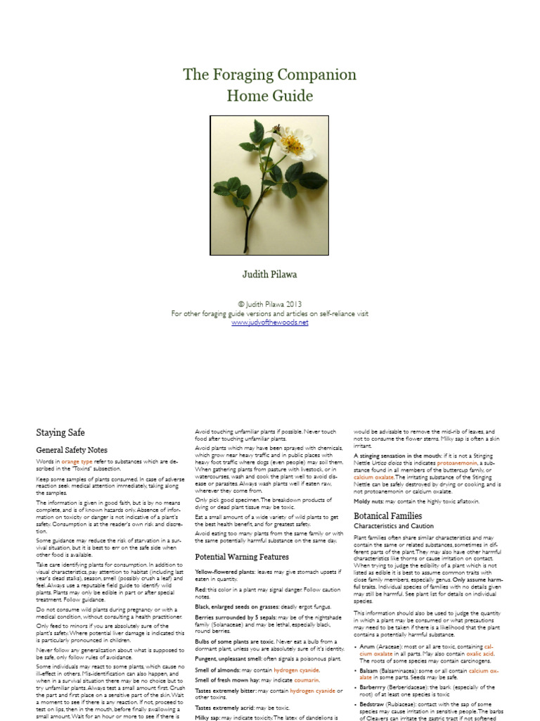 Forage Home Guide UK | PDF | Mentha | Plants