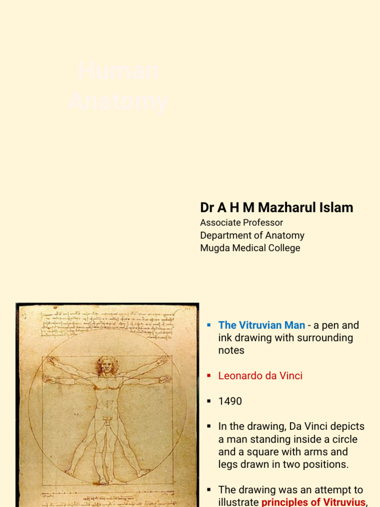 Understanding Human Anatomy Basics | PDF | Anatomical Terms Of Location ...