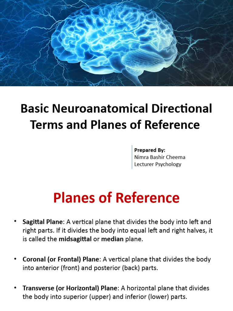 Basic Neuroantomical Directional Terms and Planes of Reference | PDF