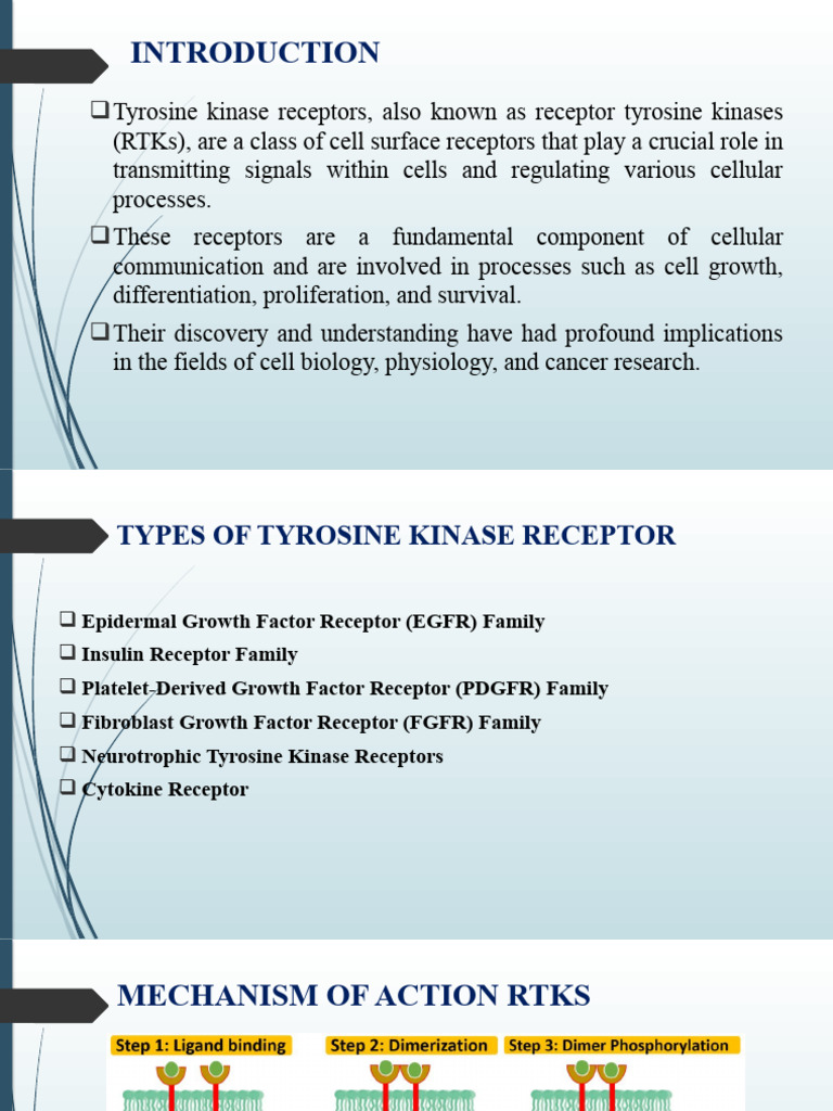Tyrosine Kinase Receptor | PDF | Tyrosine Kinase | Receptor (Biochemistry)