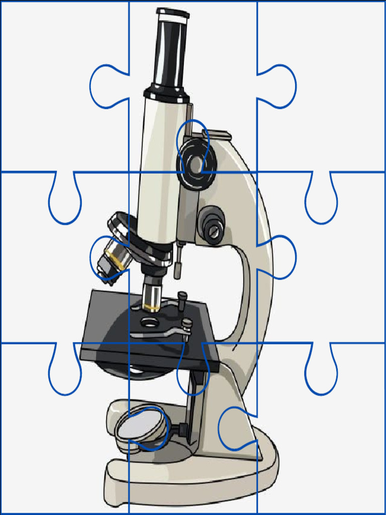 Microscope Puzzle | PDF