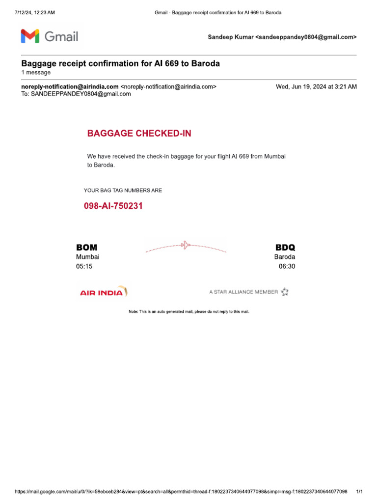 June 18 Baggage Receipt | PDF