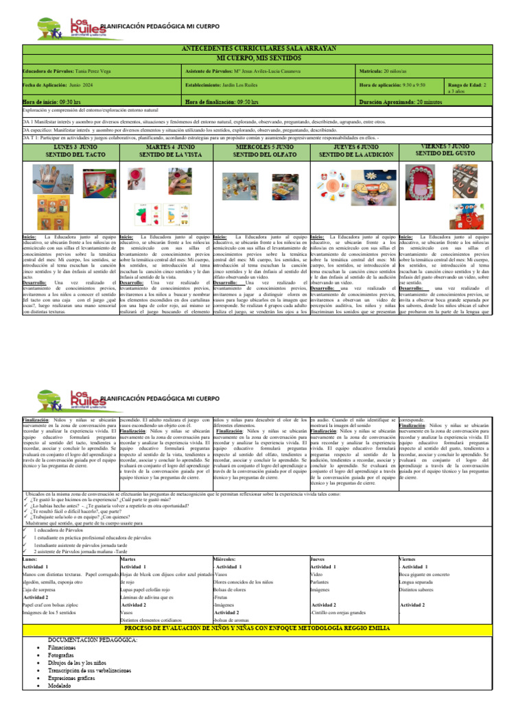 Planificacion mes de junio | PDF | Educación de la primera infancia ...