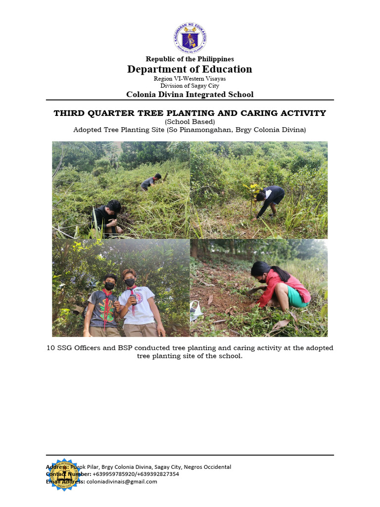 Tree Planting Activities at Colonia Divina School | PDF | Plant ...