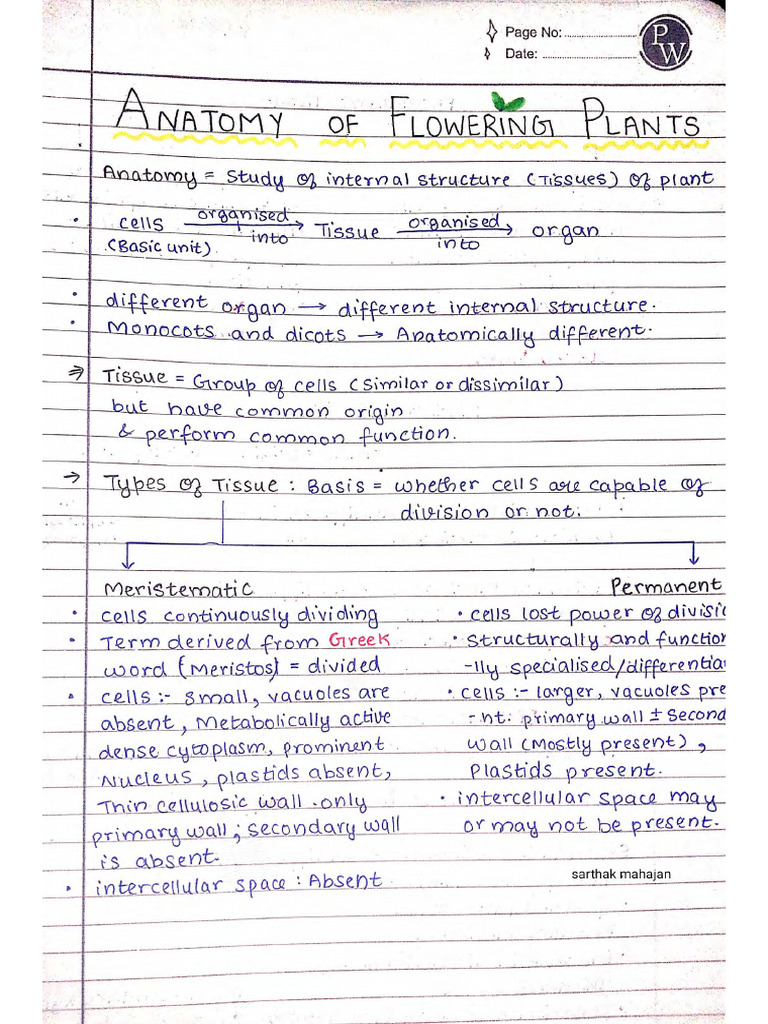 Anatomy of Flowering Plants - Handwritten Notes - Yakeen 2.0 2024 ...