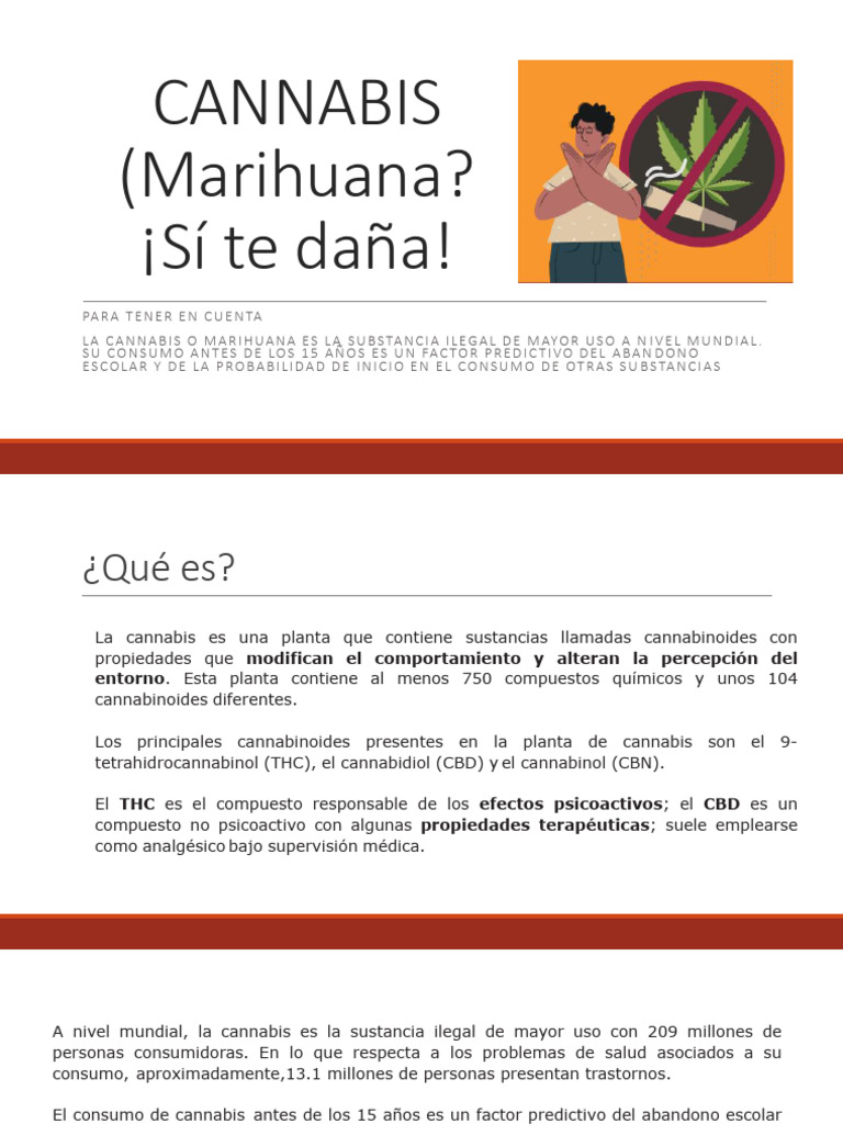 Peligro Del Cannabis Pdf Cannabis Droga Despachador De Drogas