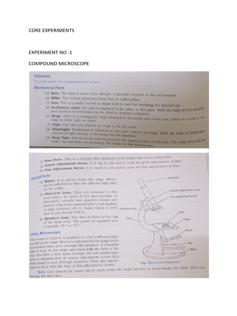 Grade 11 Biology Practical Work 2021-22 | PDF