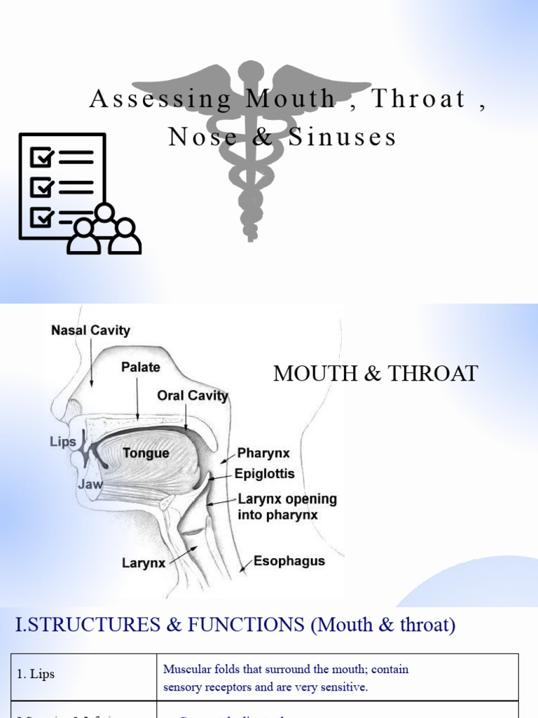Throat, Mouth, Nose and Sinuses | PDF | Human Nose | Otorhinolaryngology