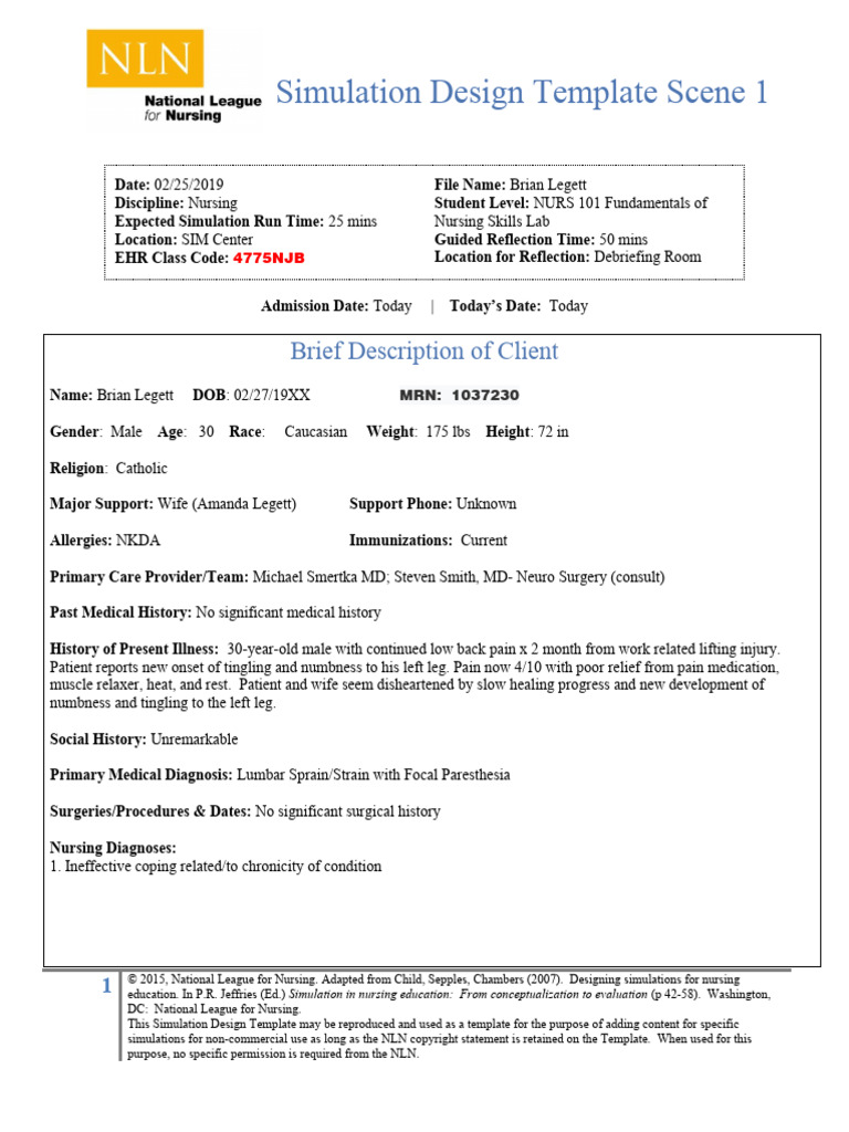 NLN Case Brian Legett Scene 1 | PDF | Simulation | National Council ...