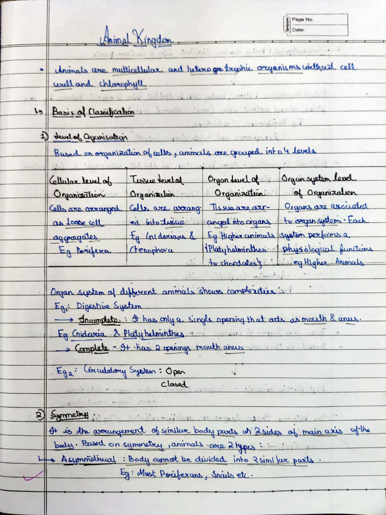 Xi CH - 4 Animal Kingdom Class Notes-1 | PDF