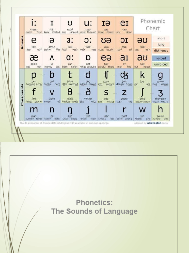 Phonetics II Term Students | PDF | Phonetics | Human Voice