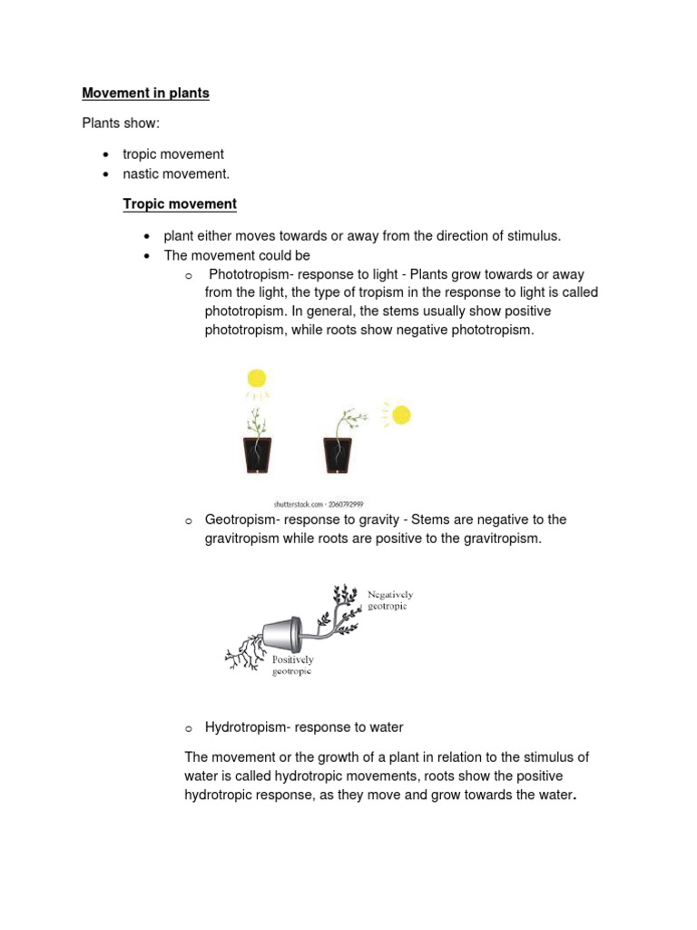 1721812752882_Plant_movement_and_hormones (1) | Download Free PDF ...