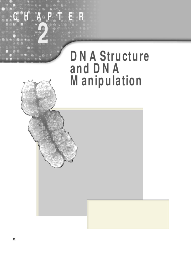 Hartl Genetics Chapter2 | PDF | Dna | Genetics