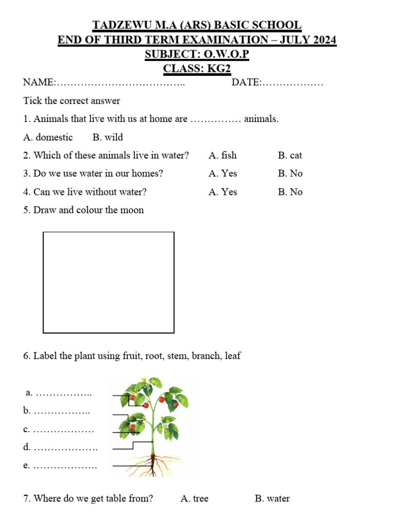 KG2 OWOP Exam Paper - July 2024 | PDF