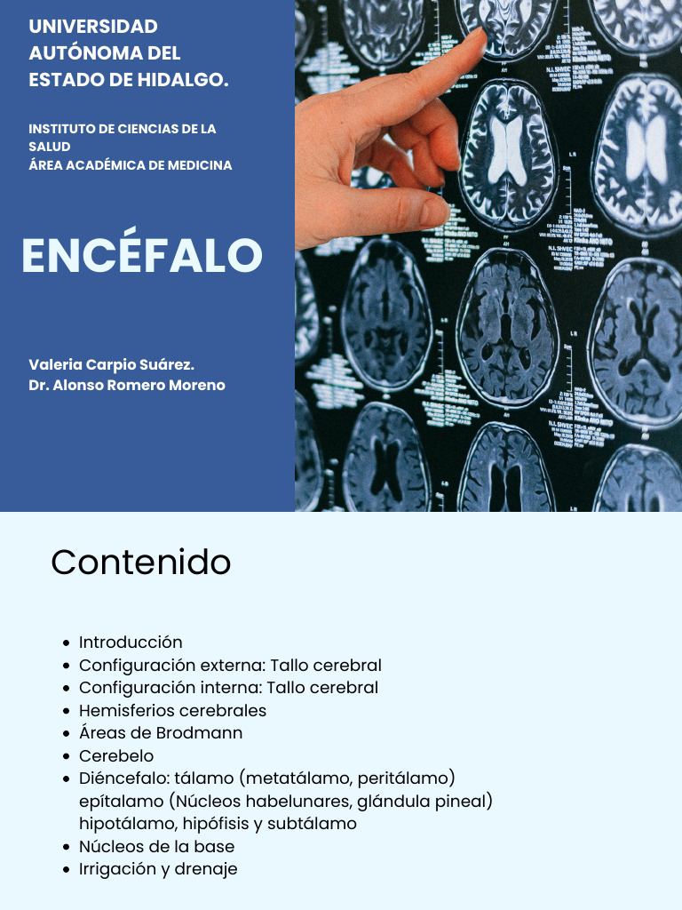 Én Cefalo | PDF | Sistema nervioso central | Cerebro