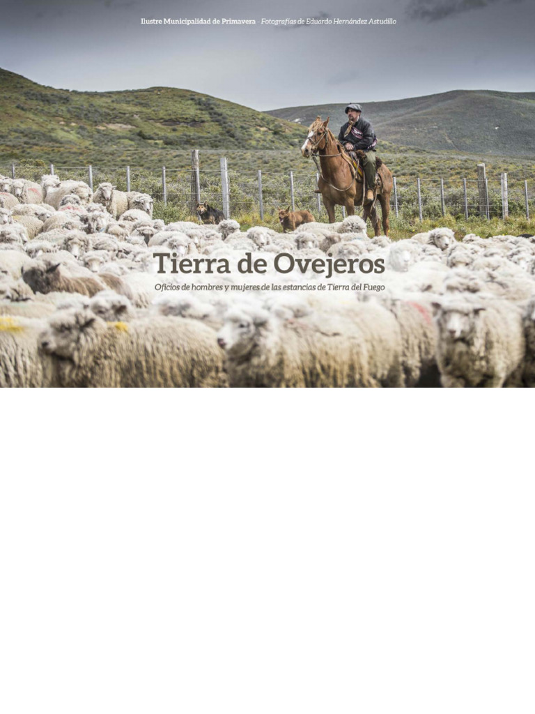 14libro Tierra de Ovejeros Web | PDF | Oveja | Lana