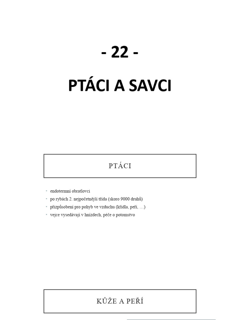 Ptáci A Savci | PDF
