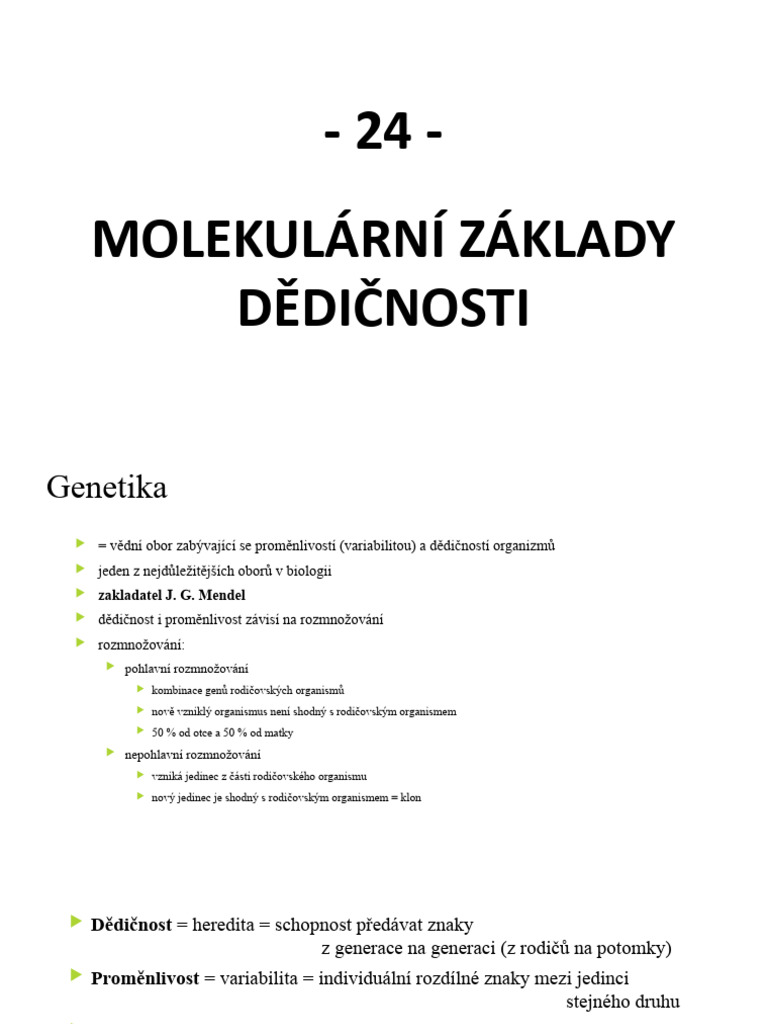 Molekulární Základy Dědičnonsti | PDF