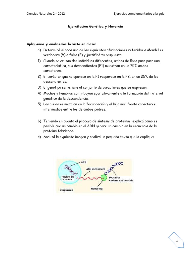 Ejercitación Genética y Herencia | PDF | Dominancia (Genética) | Cigosidad