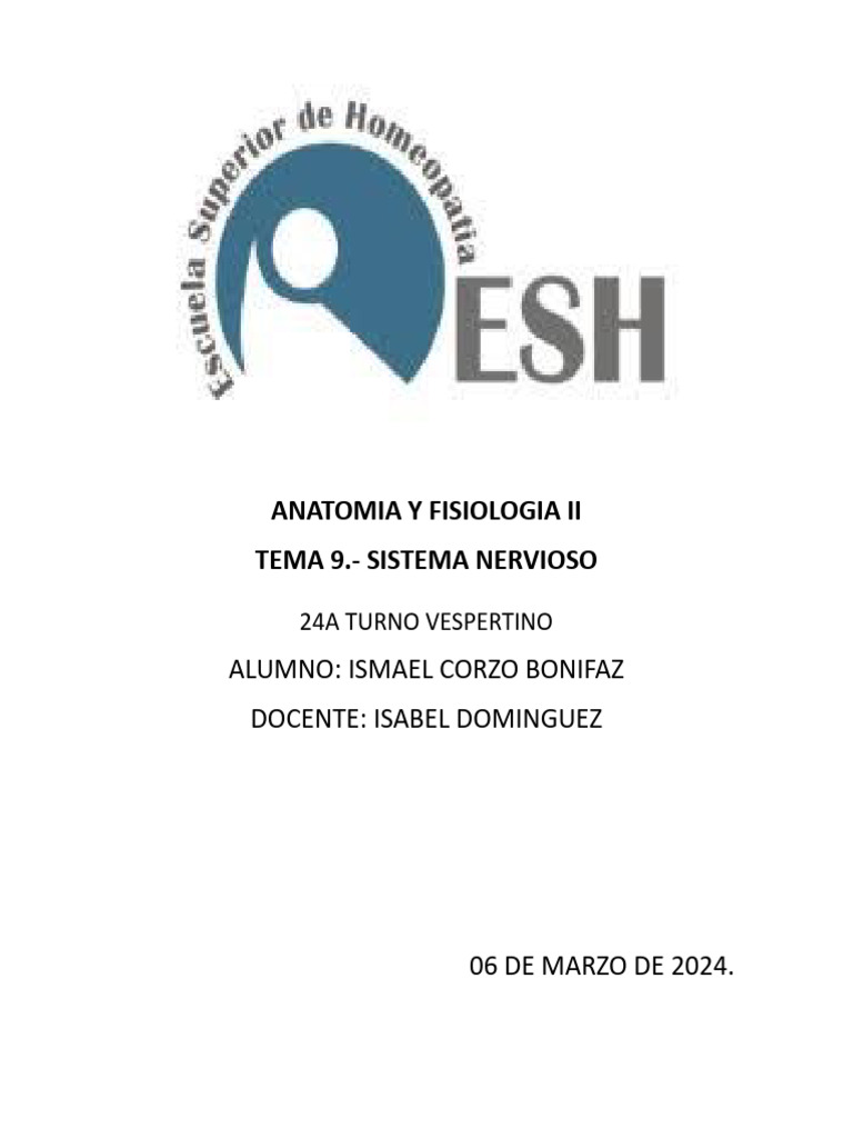 Tema 9 Sistema Nervioso Cuestionario | PDF | Sistema nervioso central ...