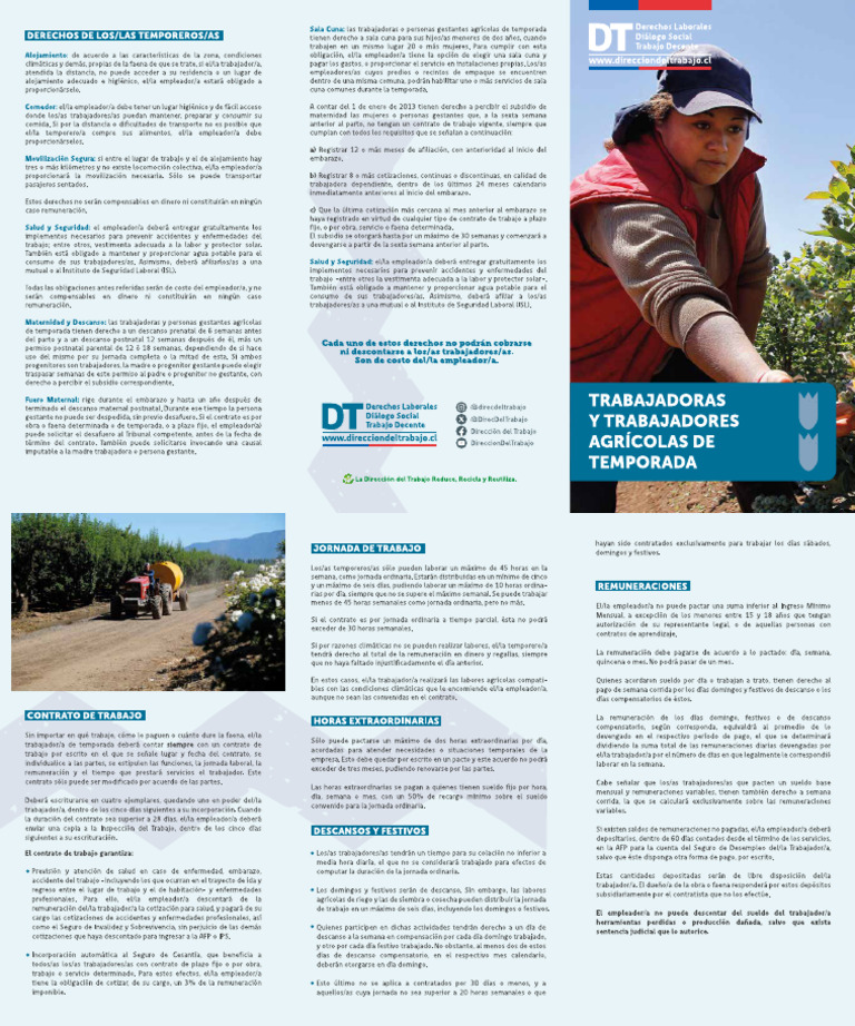 articles-100165_archivo_01 | PDF