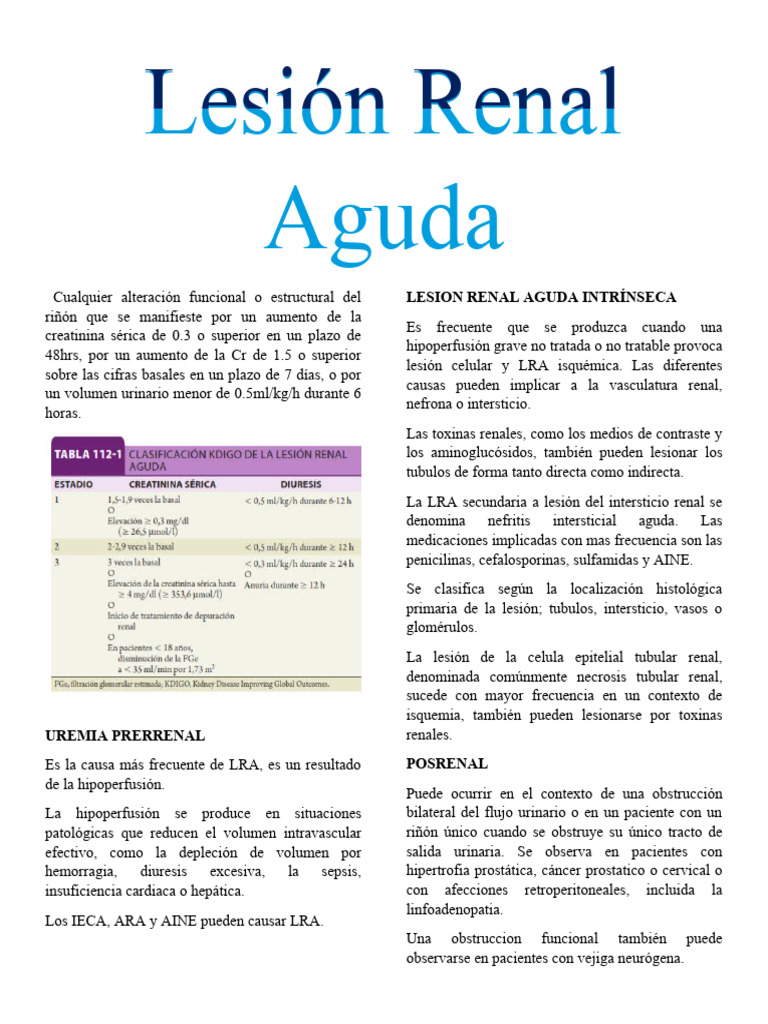 Falla renal aguda | Descargar gratis PDF | Riñón | Isquemia