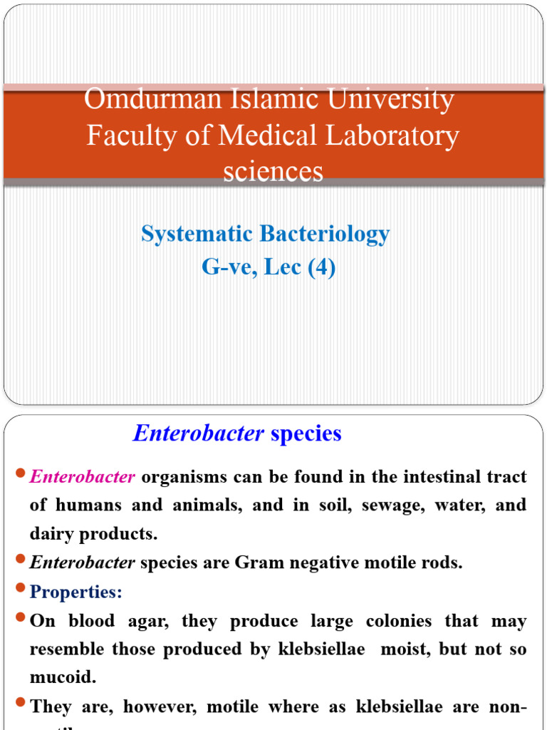 Lec (4) - Enterobacter &citrobacter | PDF | Microbiology | Medical Specialties