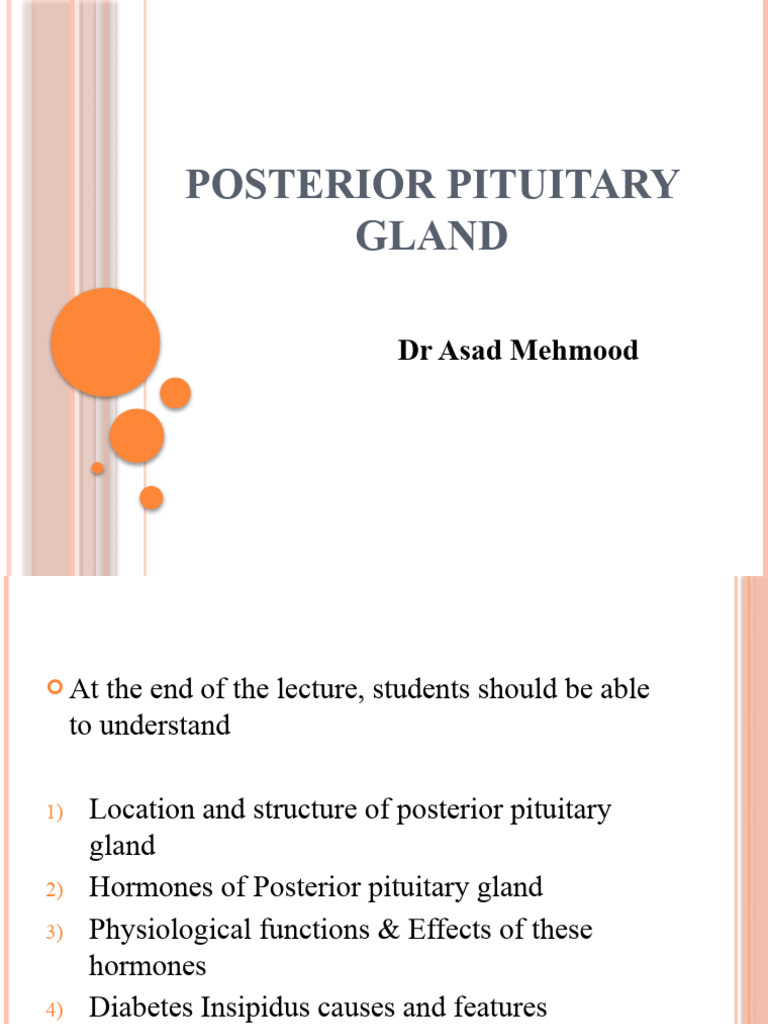 Posterior Pituitary Gland 2 | PDF | Pituitary Gland | Lactation