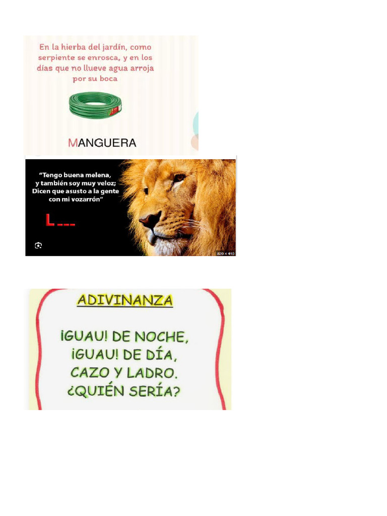 Imagenes y Adivinanza | PDF