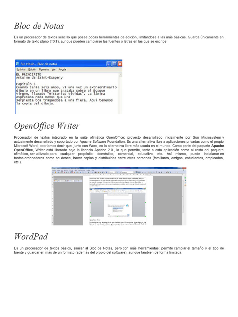 procesadores de texto | PDF | Procesador de textos | Software de la aplicacion