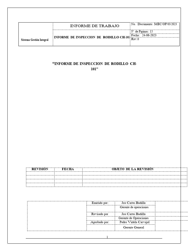 Informe de Inspeccion Rodillo CH 101 | PDF | Ingeniería mecánica