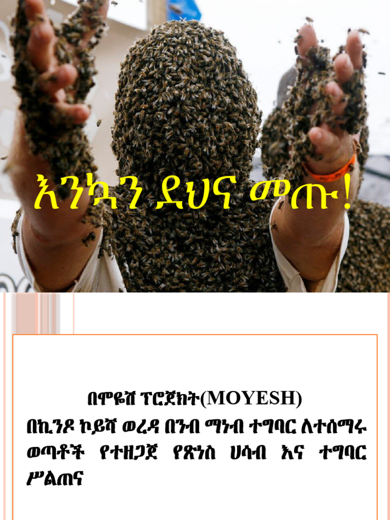 Bee Keeping Training | PDF