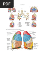 Guía para colocación de tubo de tórax | PDF | Tórax (anatomía humana ...