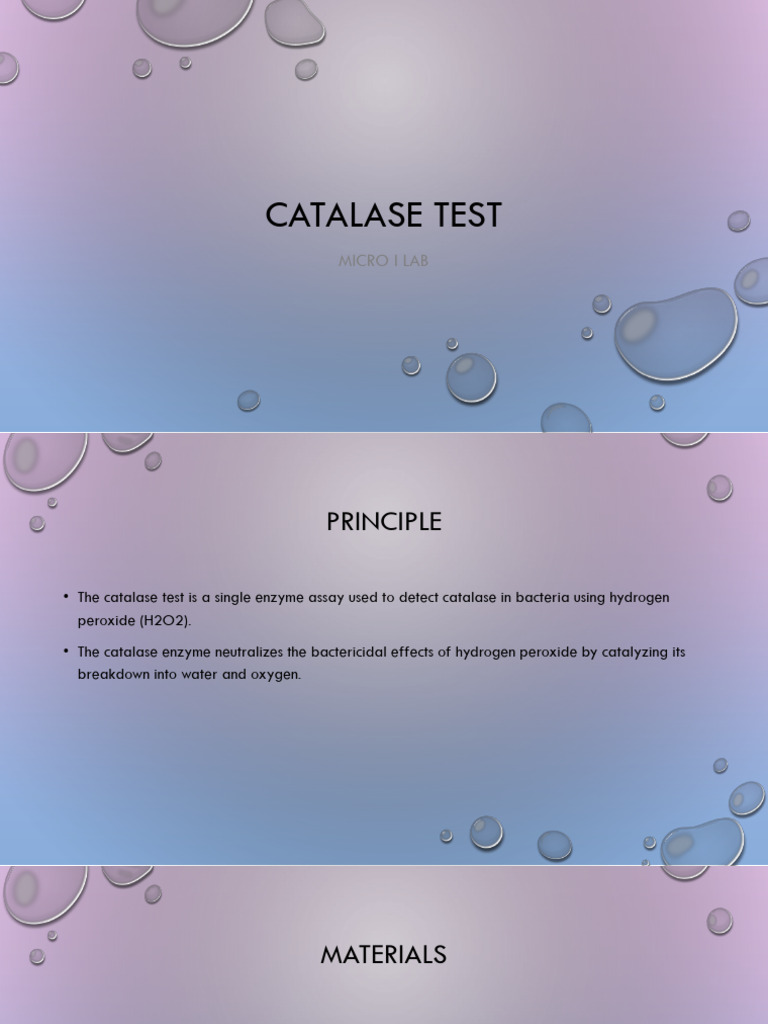 Catalase Test Procedure and Interpretation | PDF | Science & Mathematics
