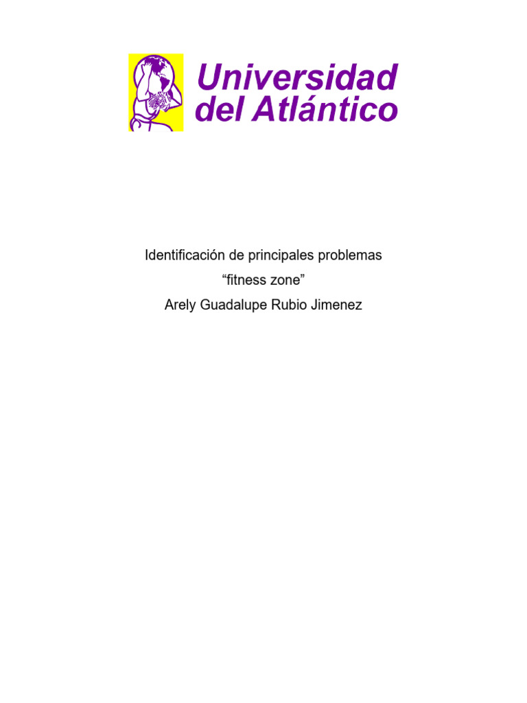 Identificación de Principales Problemas | PDF